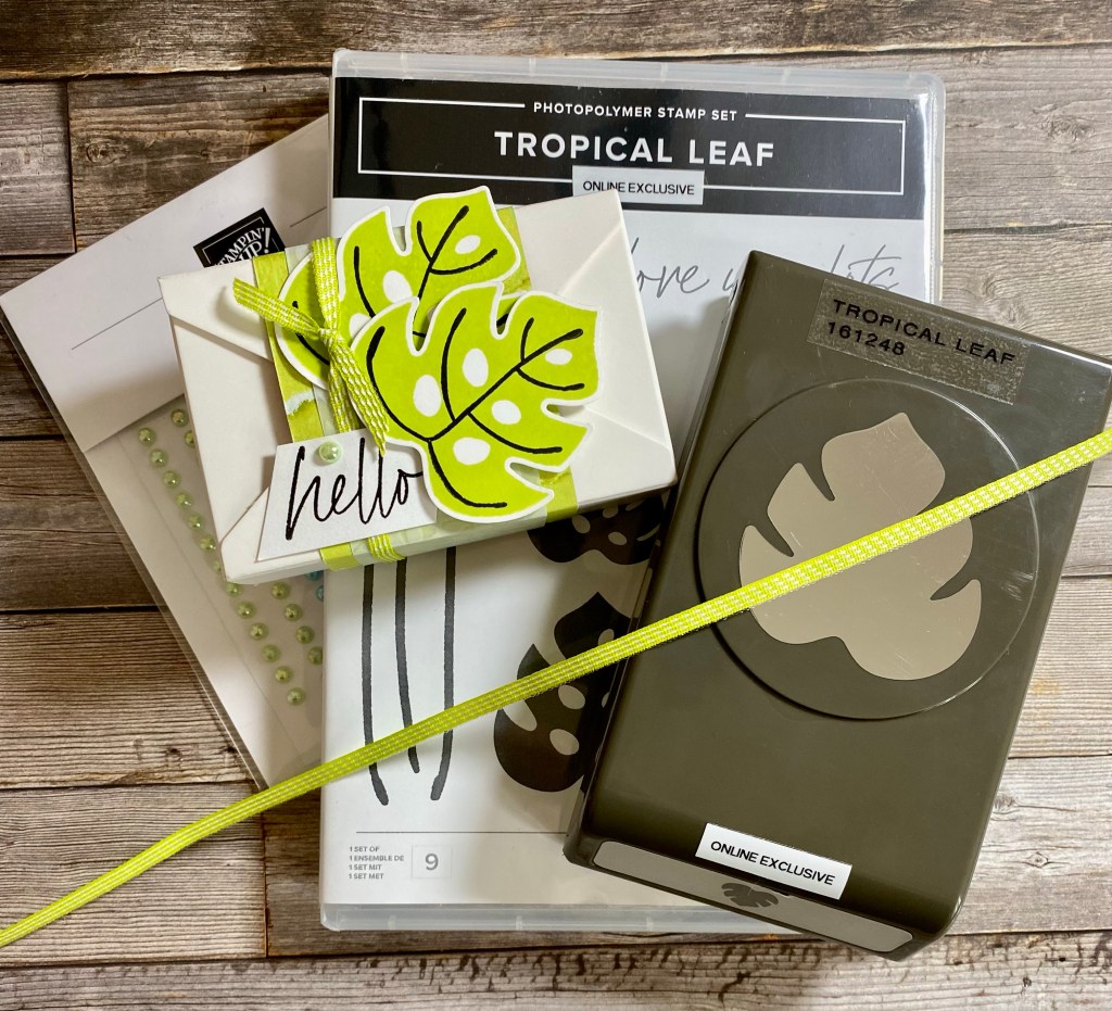 Tropical Leaf Envelope Treat Box | Craft with Jayne | Stampin Up ...