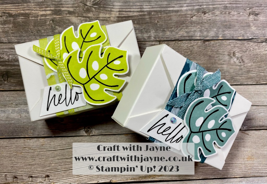 Tropical Leaf Envelope Treat Box | Craft with Jayne | Stampin Up ...